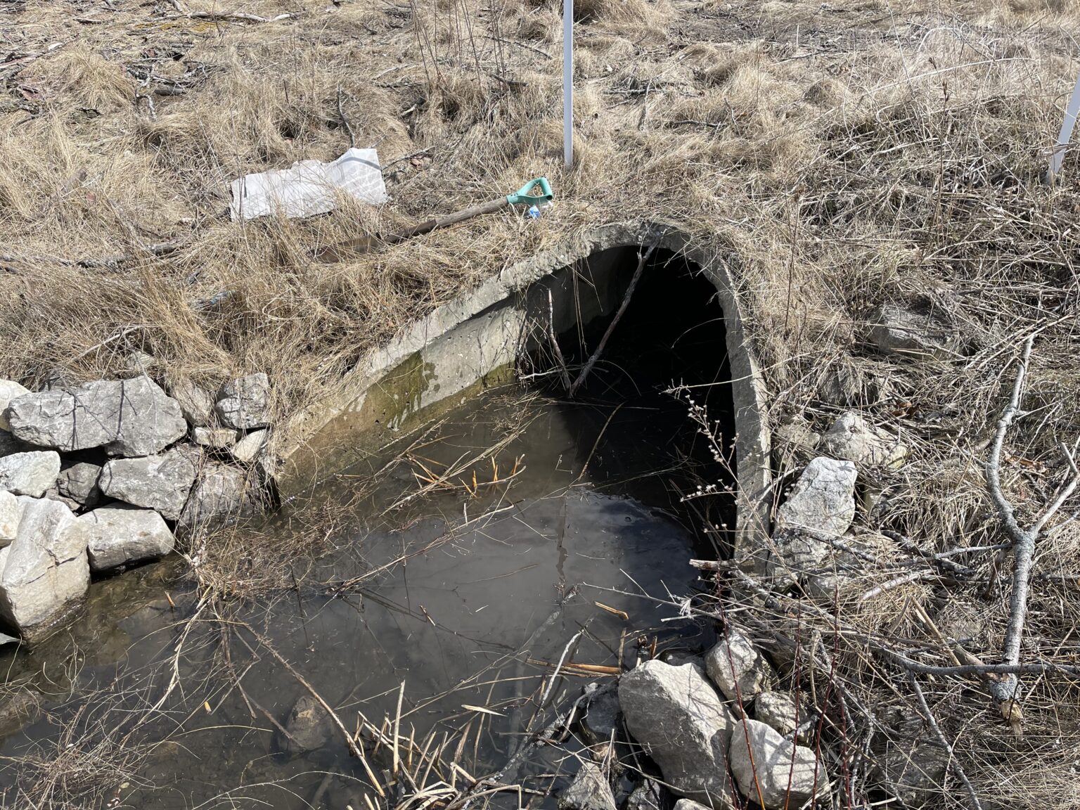 Project Overview – WIS 42 – Manitowoc County